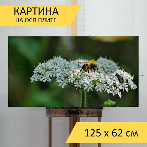 Картина на ОСП 125х62 см. "Пчела, биене, природа" горизонтальная, для интерьера, с креплениями