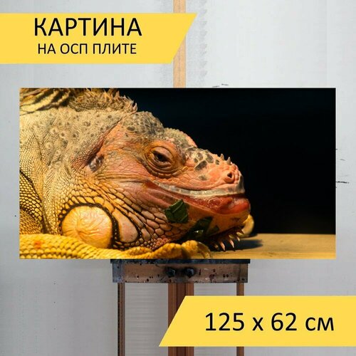 Картина на ОСП 125х62 см. "Игуана, ящерицы, животное" горизонтальная, для интерьера, с креплениями