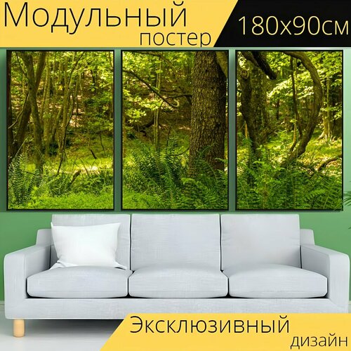 Модульный постер "Весенний лес, дневной лес, тихий лес" 180 x 90 см. для интерьера
