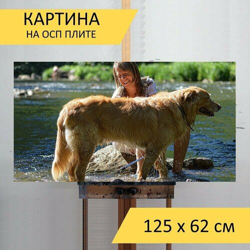 Картина на ОСП 125х62 см. "Собака, золотистый ретривер, животное" горизонтальная, для интерьера, с креплениями