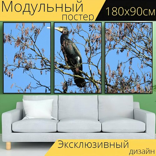Модульный постер "Бакланы, птицы, дерево" 180 x 90 см. для интерьера