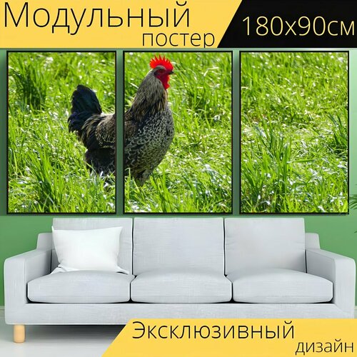 Модульный постер "Сельское хозяйство, домашняя птица, кран" 180 x 90 см. для интерьера