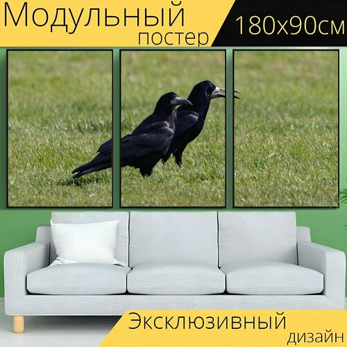Модульный постер "Ладья, черная птица, врановый вид" 180 x 90 см. для интерьера