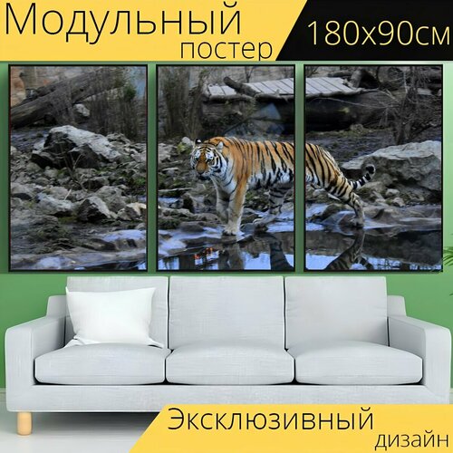 Модульный постер "Тигр и индийский, кот, хищник" 180 x 90 см. для интерьера