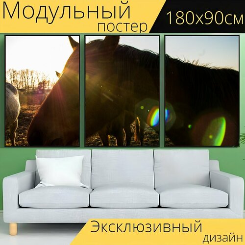 Модульный постер "Лошадь, широкий угол, солнце" 180 x 90 см. для интерьера