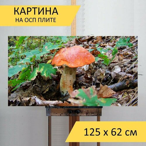 Картина на ОСП 125х62 см. "Красные грибы, лесной гриб, природа" горизонтальная, для интерьера, с креплениями
