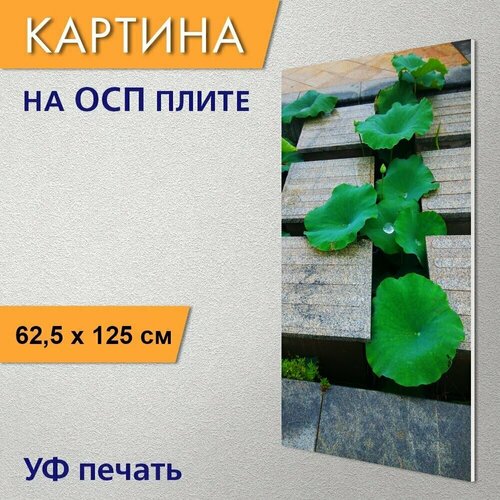Вертикальная картина на ОСП "Листьев лотоса, дорожка, летом" 62x125 см. для интерьериа
