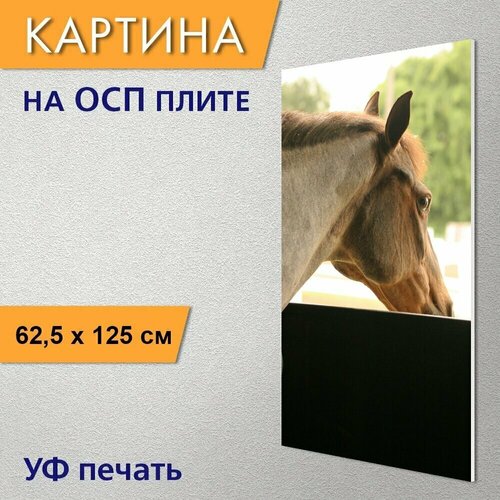 Вертикальная картина на ОСП "Лошадь, ларек, смотрящий" 62x125 см. для интерьериа