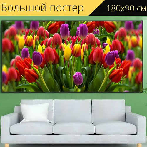 Большой постер "Тюльпаны, красочный, цветы" 180 x 90 см. для интерьера