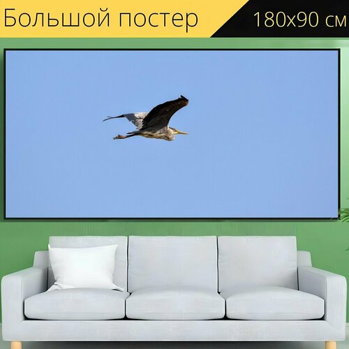 Большой постер "Животное, небо, птица" 180 x 90 см. для интерьера