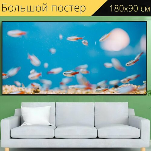 Большой постер "Рыбы, аквариум, вода" 180 x 90 см. для интерьера