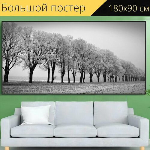 Большой постер "Зима, деревья, проспект" 180 x 90 см. для интерьера