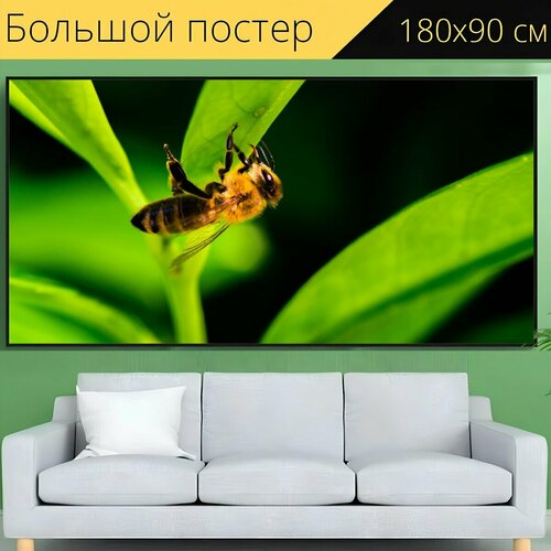 Большой постер "Пчела, медовый, насекомое" 180 x 90 см. для интерьера