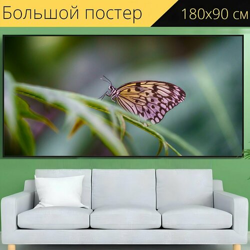 Большой постер "Бабочка, природа, закрывать" 180 x 90 см. для интерьера