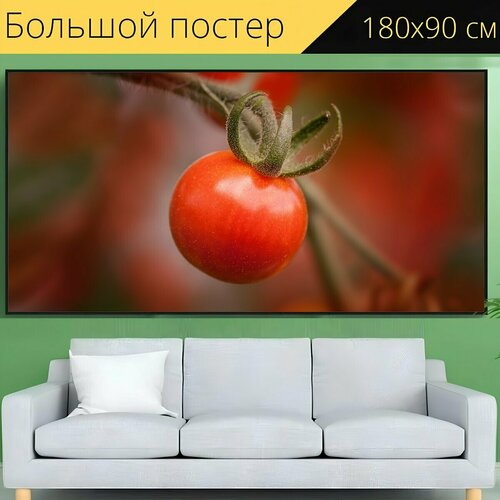 Большой постер "Помидор, фрукты, красный" 180 x 90 см. для интерьера