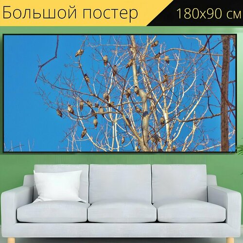 Большой постер "Дерево, птицы, весна" 180 x 90 см. для интерьера