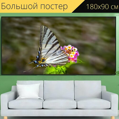 Большой постер "Дефицитный ласточкин хвост, бабочка, цветы" 180 x 90 см. для интерьера
