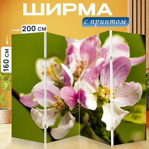 Ширма перегородка с принтом "Цветение сливы, цветы, весна" на холсте - 200x160 см. для зонирования, раскладная
