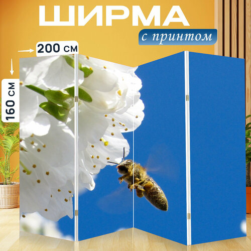 Ширма перегородка с принтом "Пчела, опыление, цветы" на холсте - 200x160 см. для зонирования, раскладная