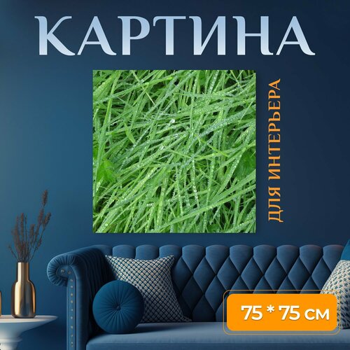 Картина на холсте "Трава, зеленый, природа" на подрамнике 75х75 см. для интерьера