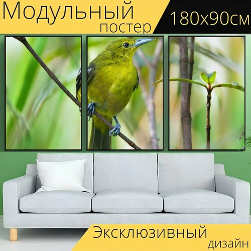 Модульный постер "Птица, дикая природа, природа" 180 x 90 см. для интерьера