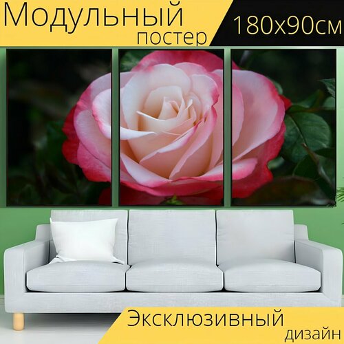Модульный постер "Роза, цвести, две тонны" 180 x 90 см. для интерьера