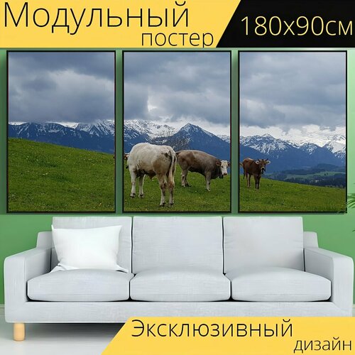 Модульный постер "Корова, гора, коровы" 180 x 90 см. для интерьера