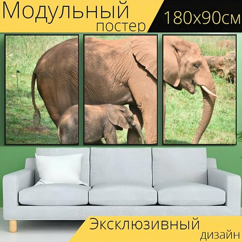 Модульный постер "Слон, животные, млекопитающие" 180 x 90 см. для интерьера