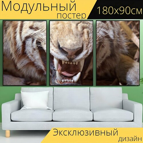 Модульный постер "Тигр, кошка, фаршированный" 180 x 90 см. для интерьера