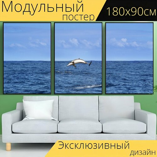 Модульный постер "Дельфин, море, индийский океан" 180 x 90 см. для интерьера