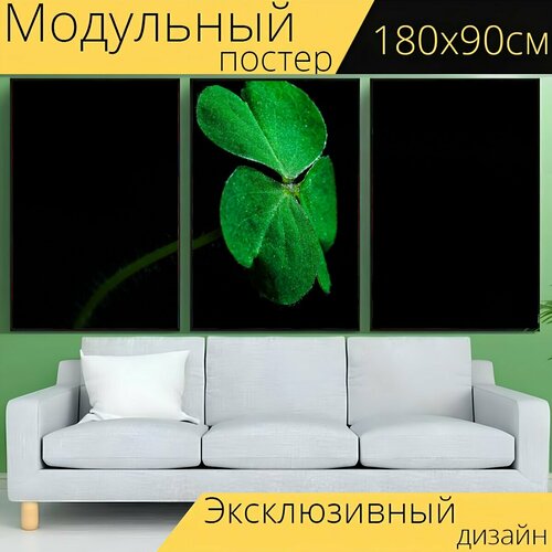 Модульный постер "Трава, завод, зеленый" 180 x 90 см. для интерьера