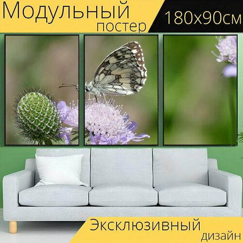 Модульный постер "Бабочка, цветы, крылья" 180 x 90 см. для интерьера