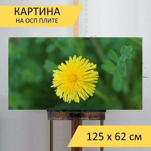 Картина на ОСП 125х62 см. "Одуванчик, цветок, желтый" горизонтальная, для интерьера, с креплениями