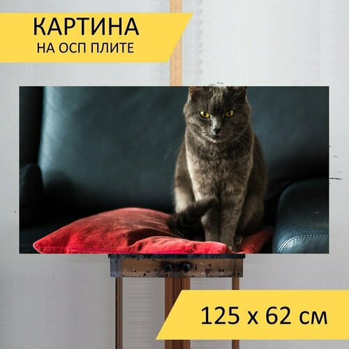 Картина на ОСП 125х62 см. "Кошка, домашний питомец, подушка" горизонтальная, для интерьера, с креплениями