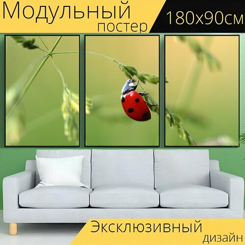 Модульный постер "Божья коровка, жук, насекомые" 180 x 90 см. для интерьера