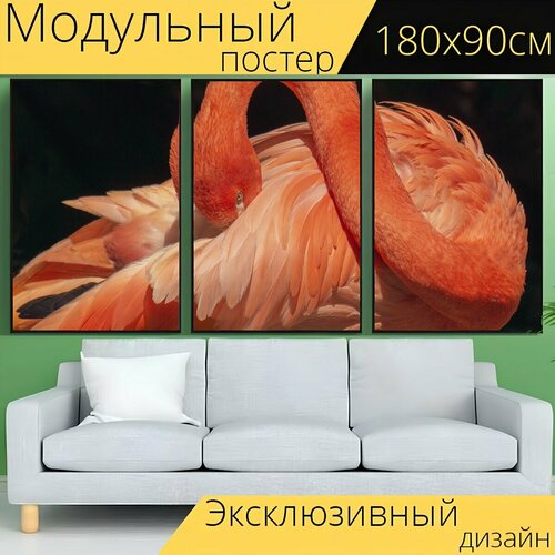 Модульный постер "Фламинго, водоплавающая птица, птица" 180 x 90 см. для интерьера