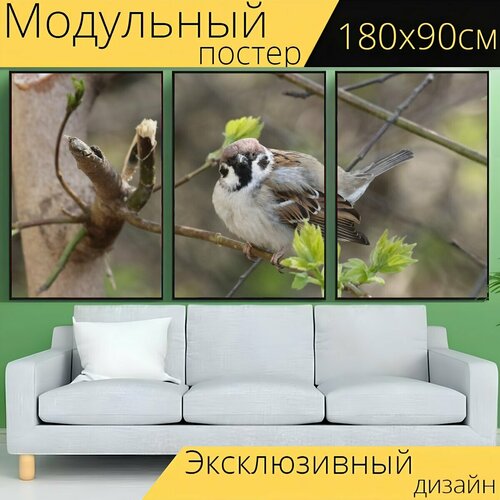 Модульный постер "Воробей, птица, животных" 180 x 90 см. для интерьера