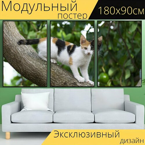 Модульный постер "Кошка, животное, котенок" 180 x 90 см. для интерьера