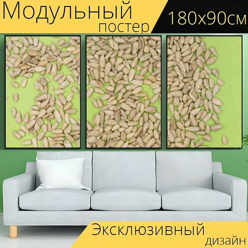 Модульный постер "Подсолнух, семена, еда" 180 x 90 см. для интерьера