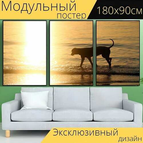 Модульный постер "Собака в воде, собака на берегу моря, собачка" 180 x 90 см. для интерьера