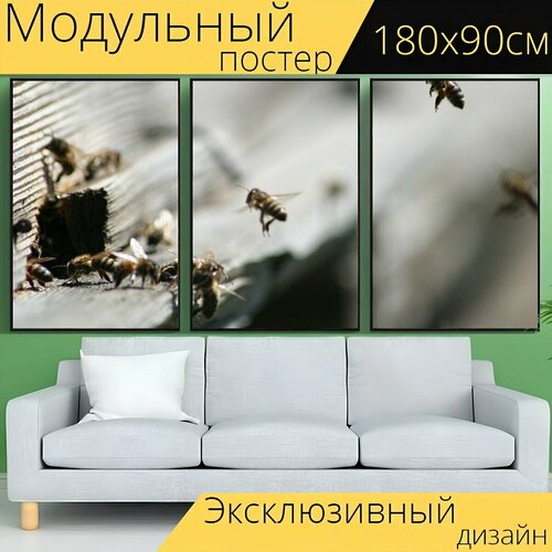 Модульный постер "Медоносных пчел, пчела, насекомое" 180 x 90 см. для интерьера