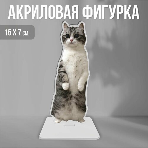 Акриловая фигурка декоративная / статуэтки для интерьера Мем Комару кот Komaru Cat