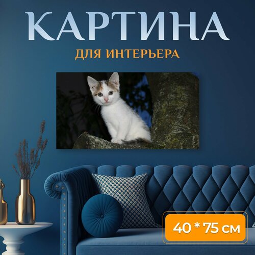 Картина на холсте "Дерево, кот, животное" на подрамнике 75х40 см. для интерьера