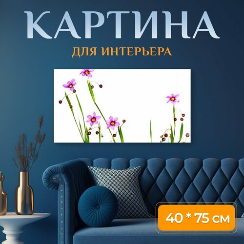 Картина на холсте "Природные, завод, цветы" на подрамнике 75х40 см. для интерьера