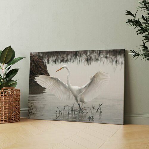 Картина на холсте "Большая белая птица, стоящая над водоемом" 50x70 см. Интерьерная, на стену.