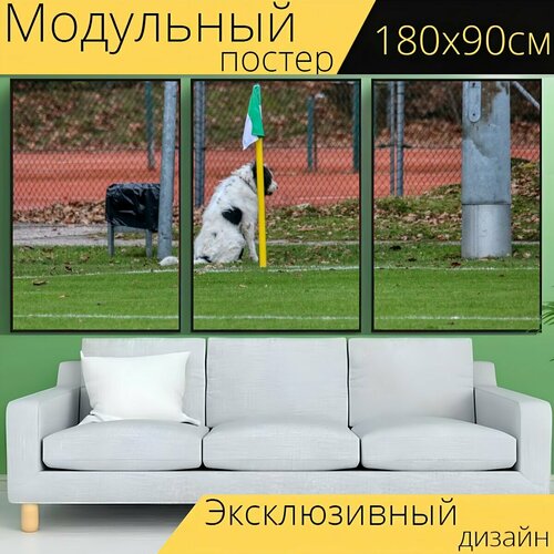 Модульный постер "Собака, угловой флаг, футбольное поле" 180 x 90 см. для интерьера