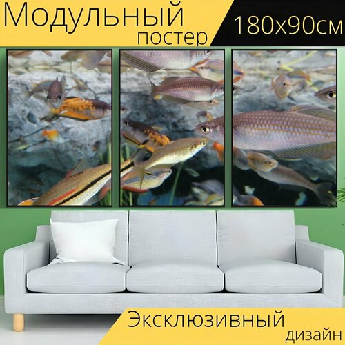 Модульный постер "Рыбы, океан, море" 180 x 90 см. для интерьера
