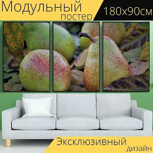 Модульный постер "Груши, фрукты, листья" 180 x 90 см. для интерьера