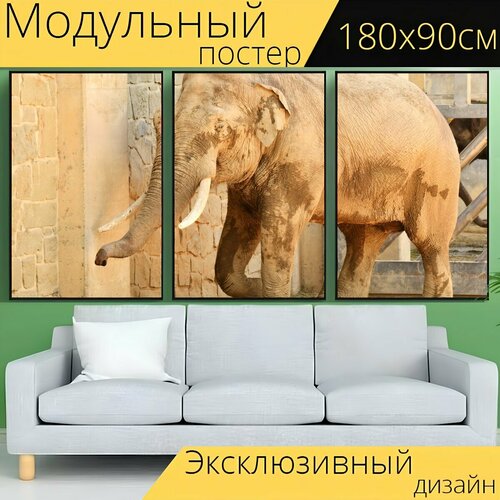 Модульный постер "Слон, животное, зоопарк" 180 x 90 см. для интерьера