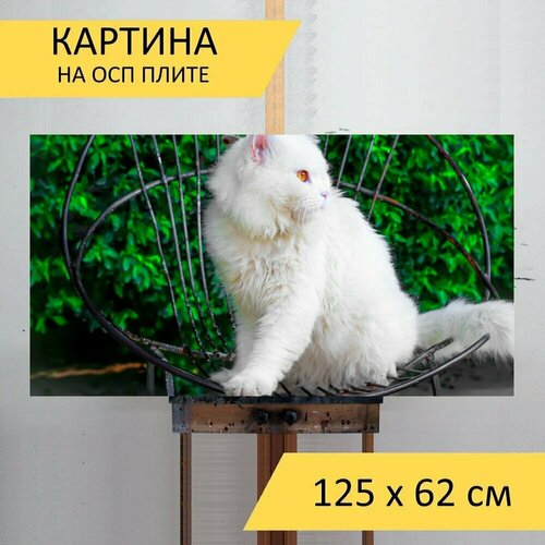 Картина на ОСП 125х62 см. "Кошка, кошачий, одомашненный" горизонтальная, для интерьера, с креплениями